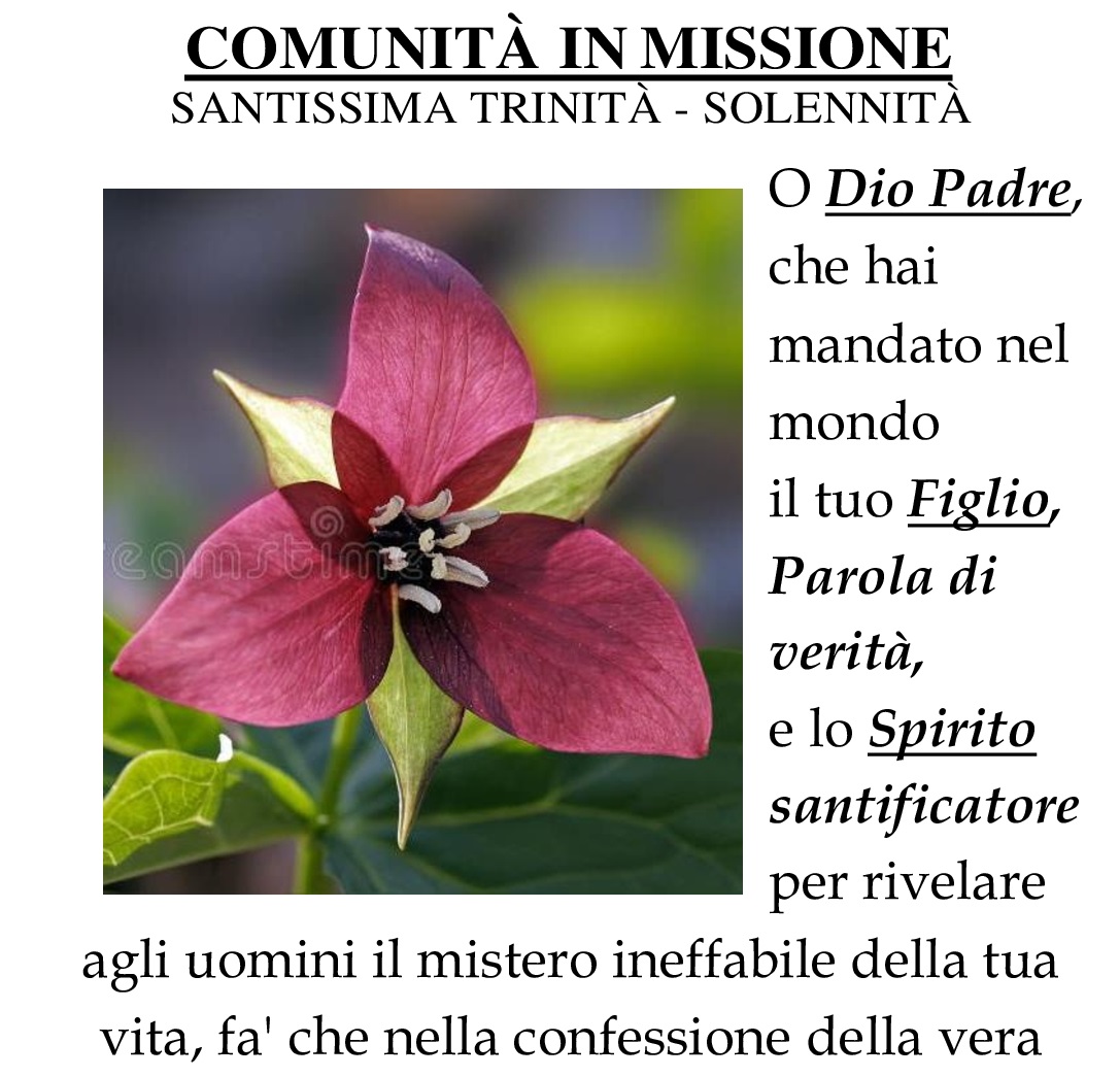 Parrocchia Regina Pacis • Chiesa e comunità - Lama Taranto